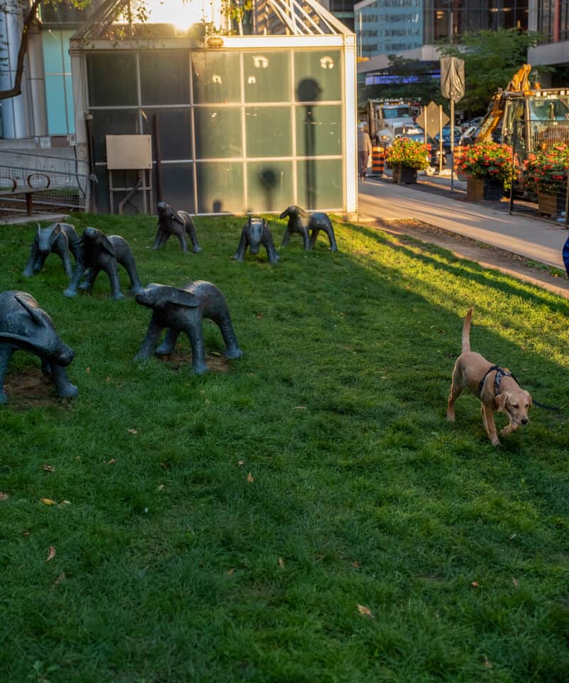 The Taylor, Toronto's Most Fashionable Address